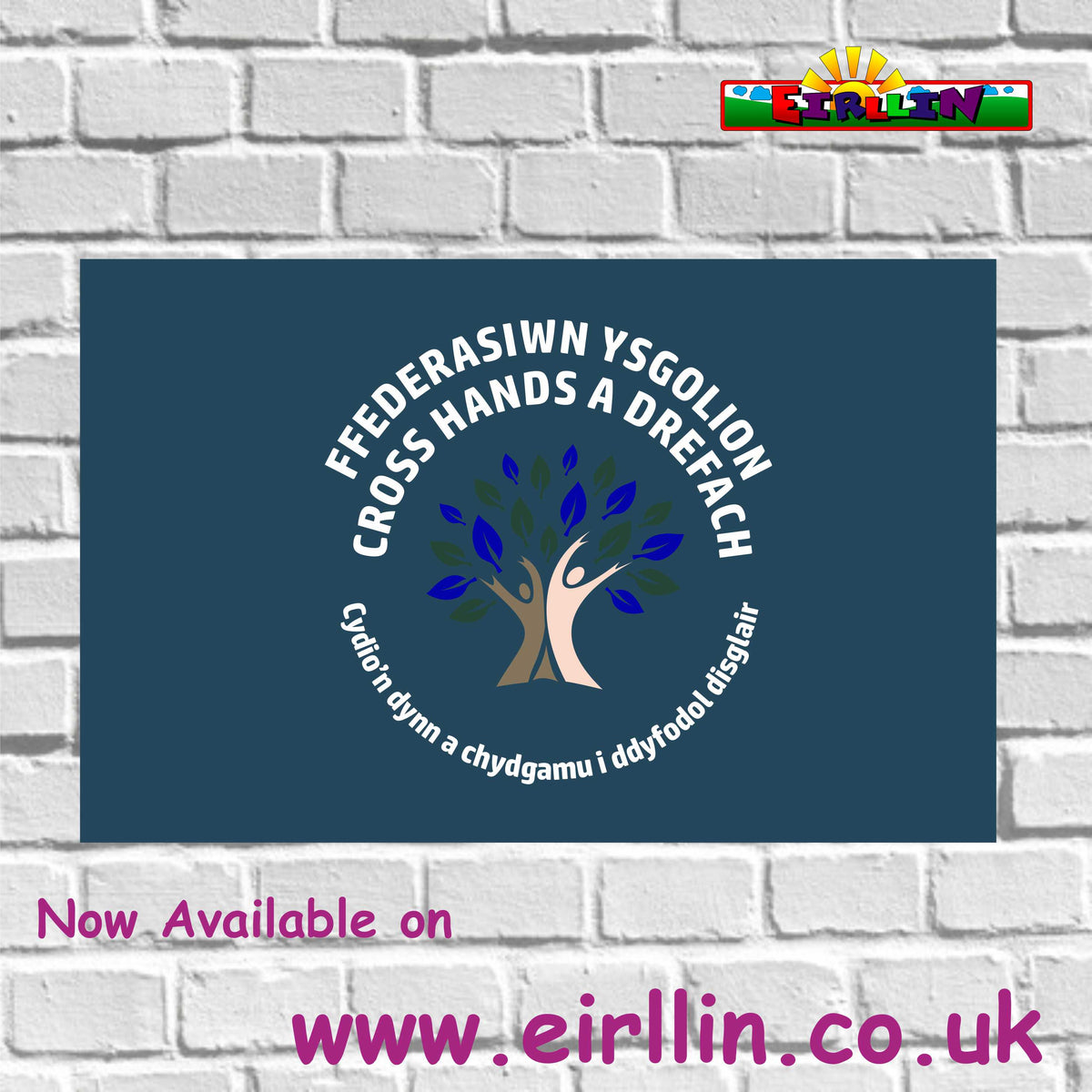 FFEDERASIWN YSGOLION CROSS HANDS A DREFACH – Eirllin