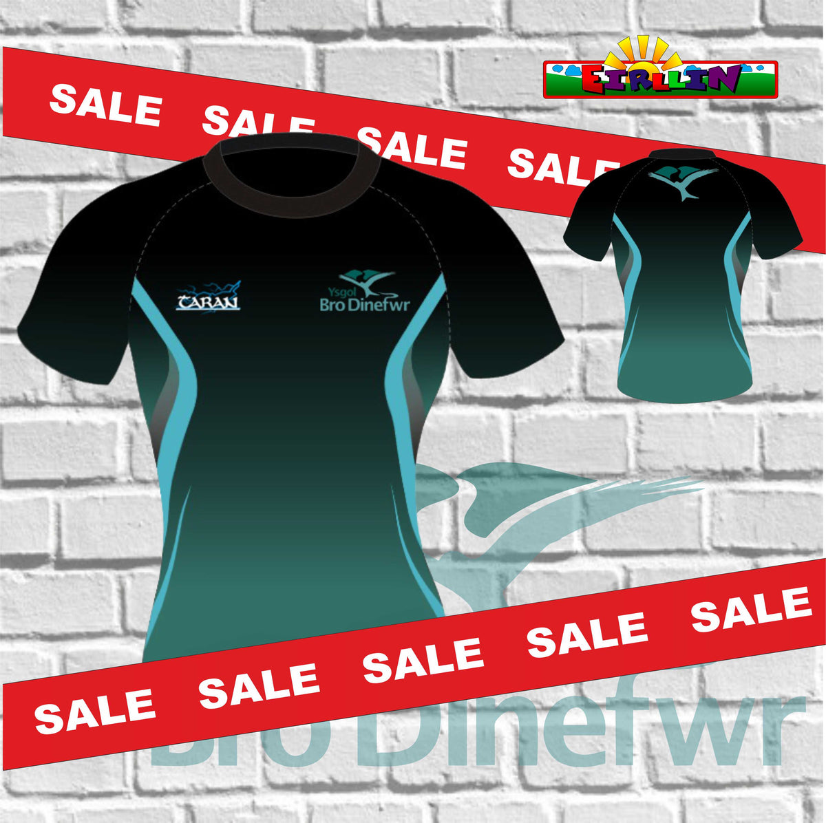 Ysgol Bro Dinefwr SALE – Eirllin
